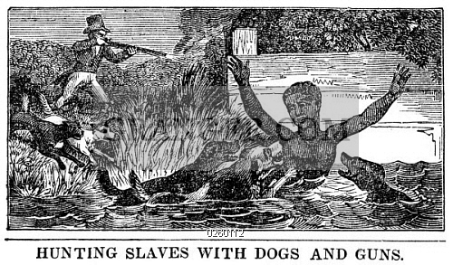 BLOG: A good Coon hunt. – Cathy Mia Kolwey